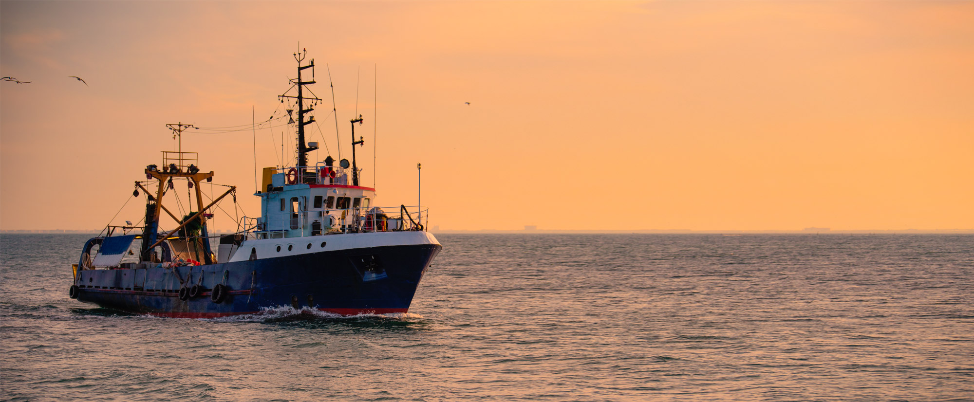 SOLAS Duarry Davit-Launchable / Self-Righting Liferaft - Ausmar